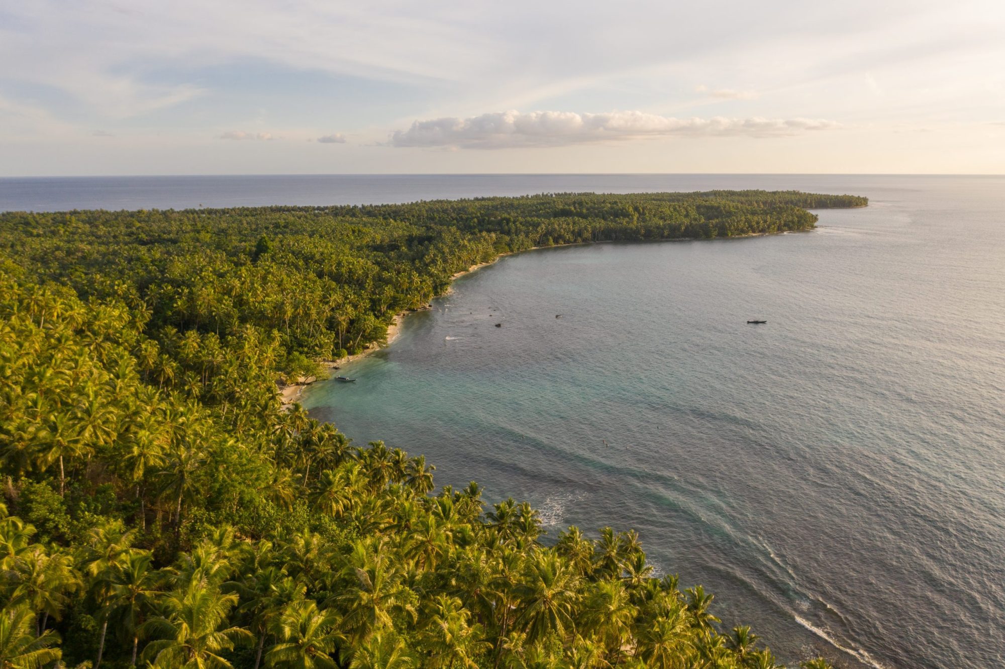 Book Now - Nasara Resort
